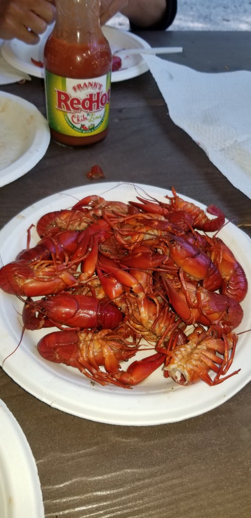 Crawdads (Crayfish) at Timothy Lake | Cabin Fever Chronicles - Getting ...