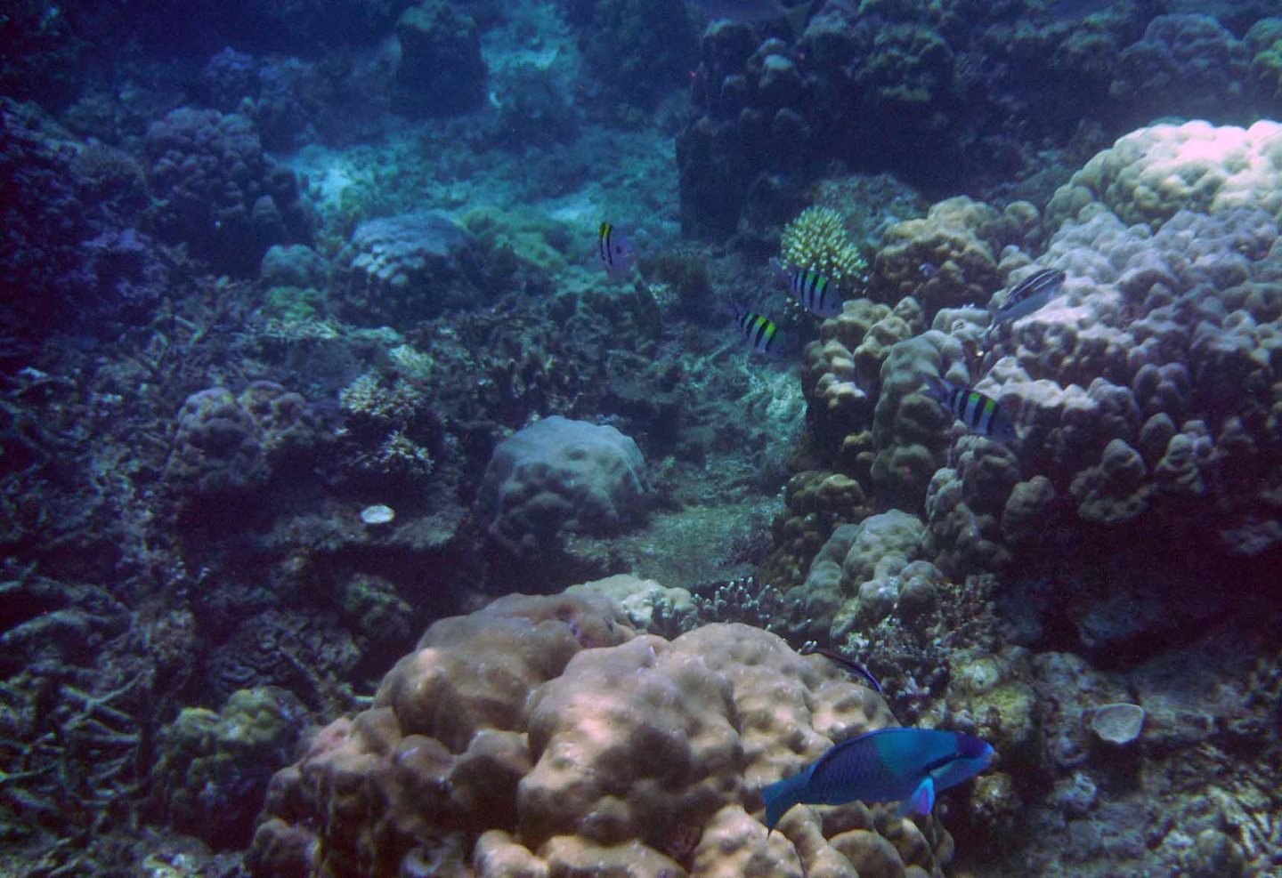 Palawan’s Bacuit Archipelago: Pocket Beaches, Palm Trees, Clear Waters ...